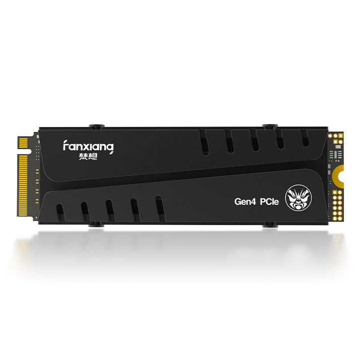 FangXiang PCIe NVMe SSD: High-Speed Storage for Peak Performance – FanXiang