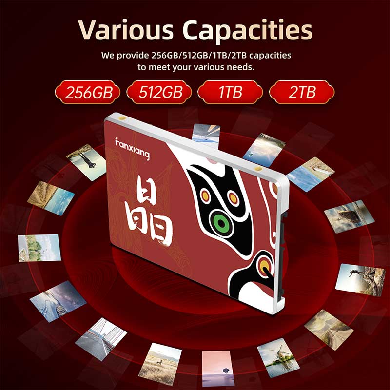 FangXiang S100 SATA III Internal SSD – FanXiang