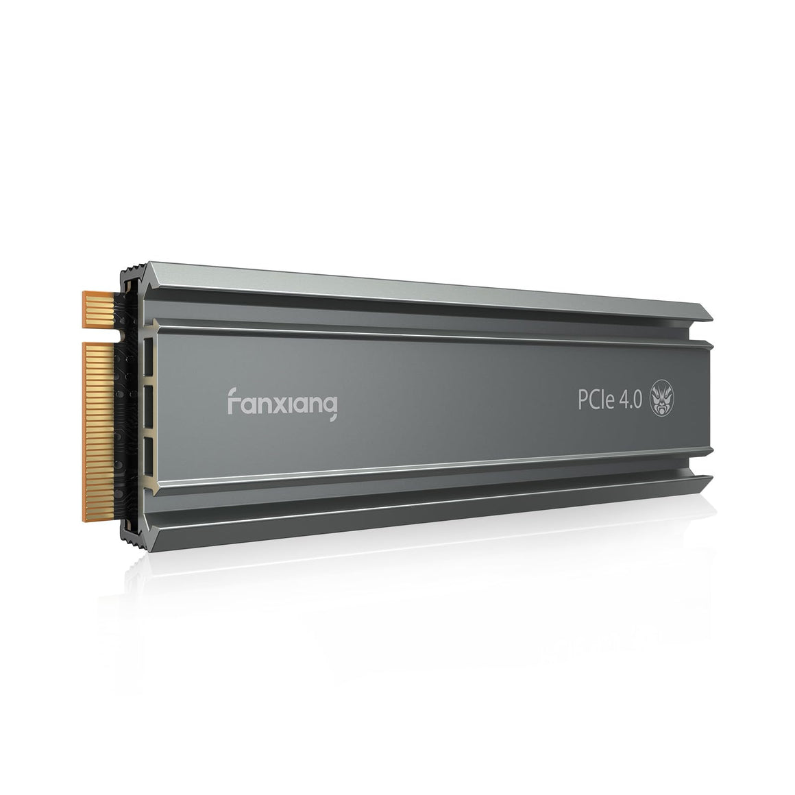 FangXiang PCIe NVMe SSD: High-Speed Storage for Peak Performance – FanXiang